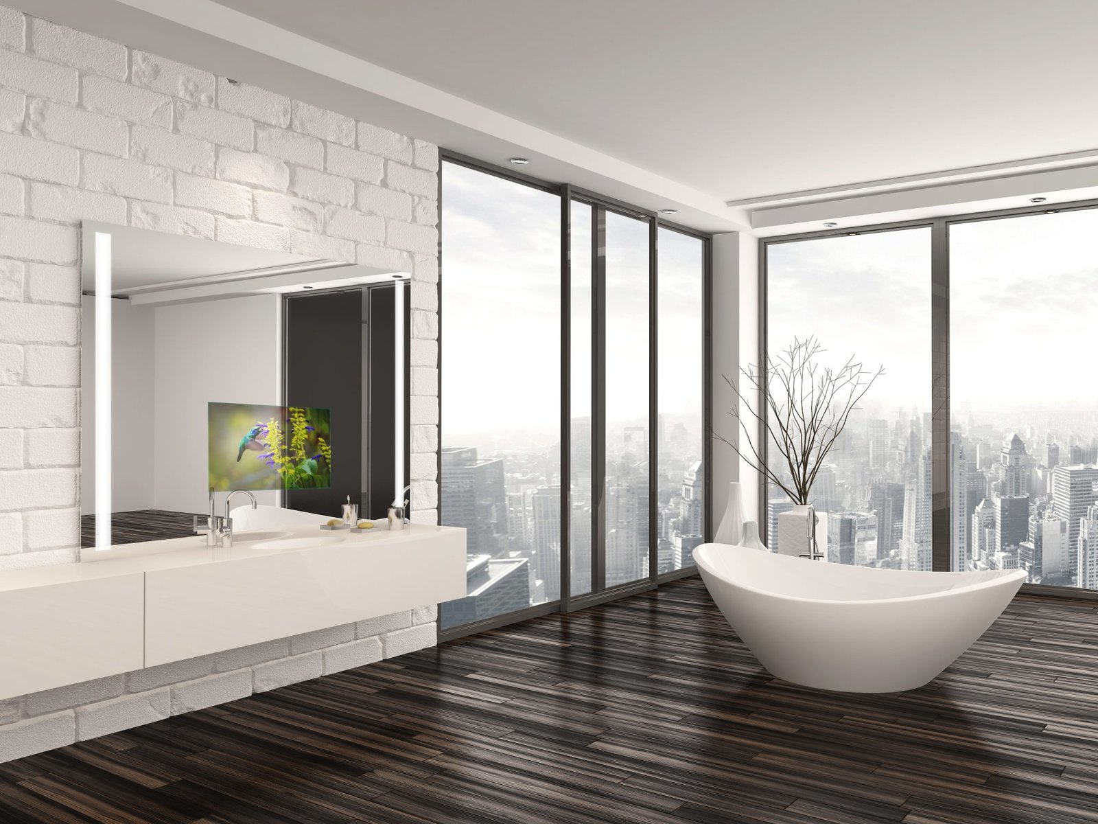 Smart Mirror vs. Mirror TV - Mues-Tec